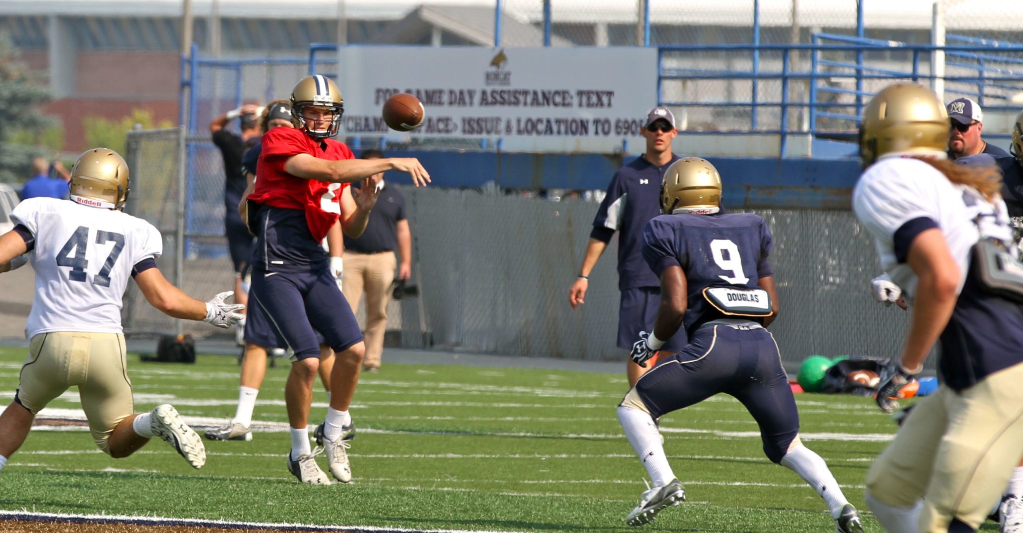 MONTANA MADE QB – what will it take to make the next great in-state ...