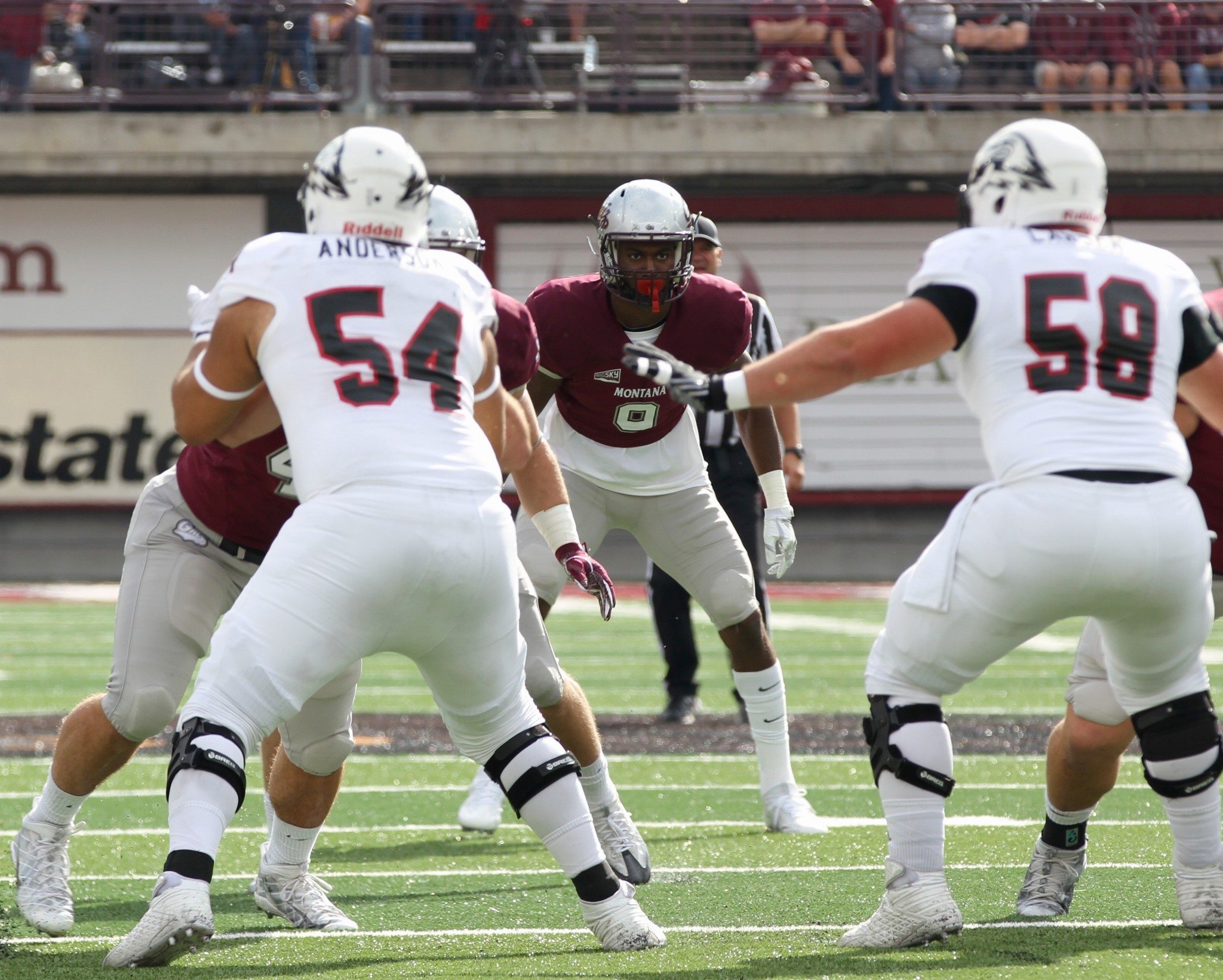 CEREBRAL SPECIMEN: Sanders finds his home in Montana secondary ...