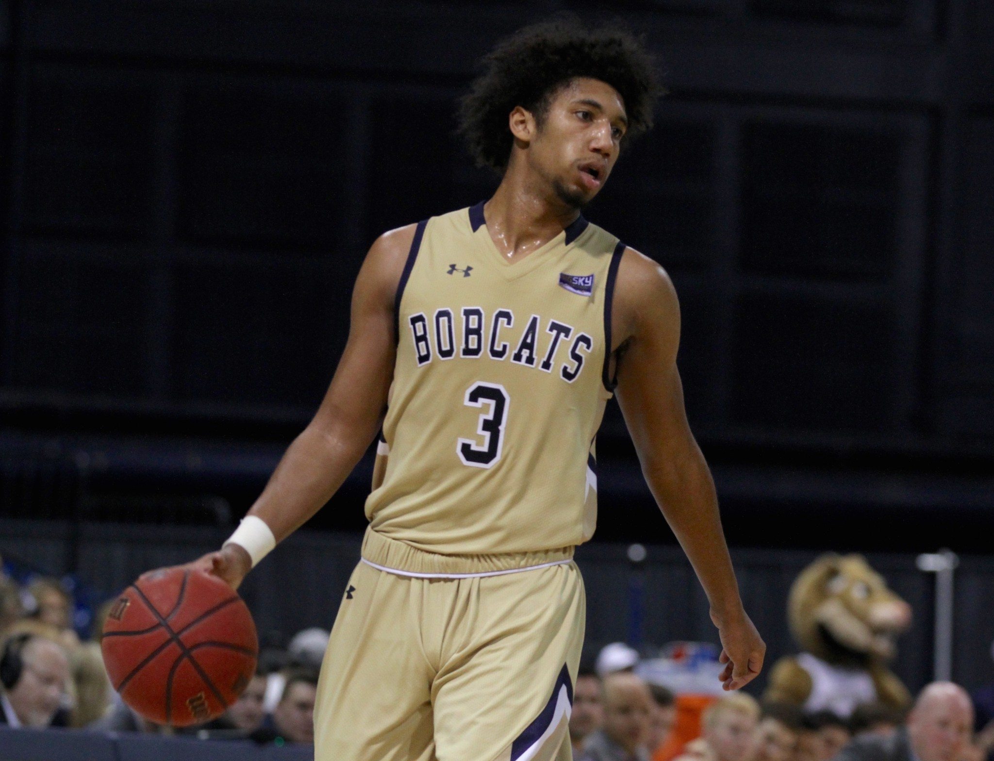 Montana State’s Hall earns Big Sky weekly honor – Skyline Sports