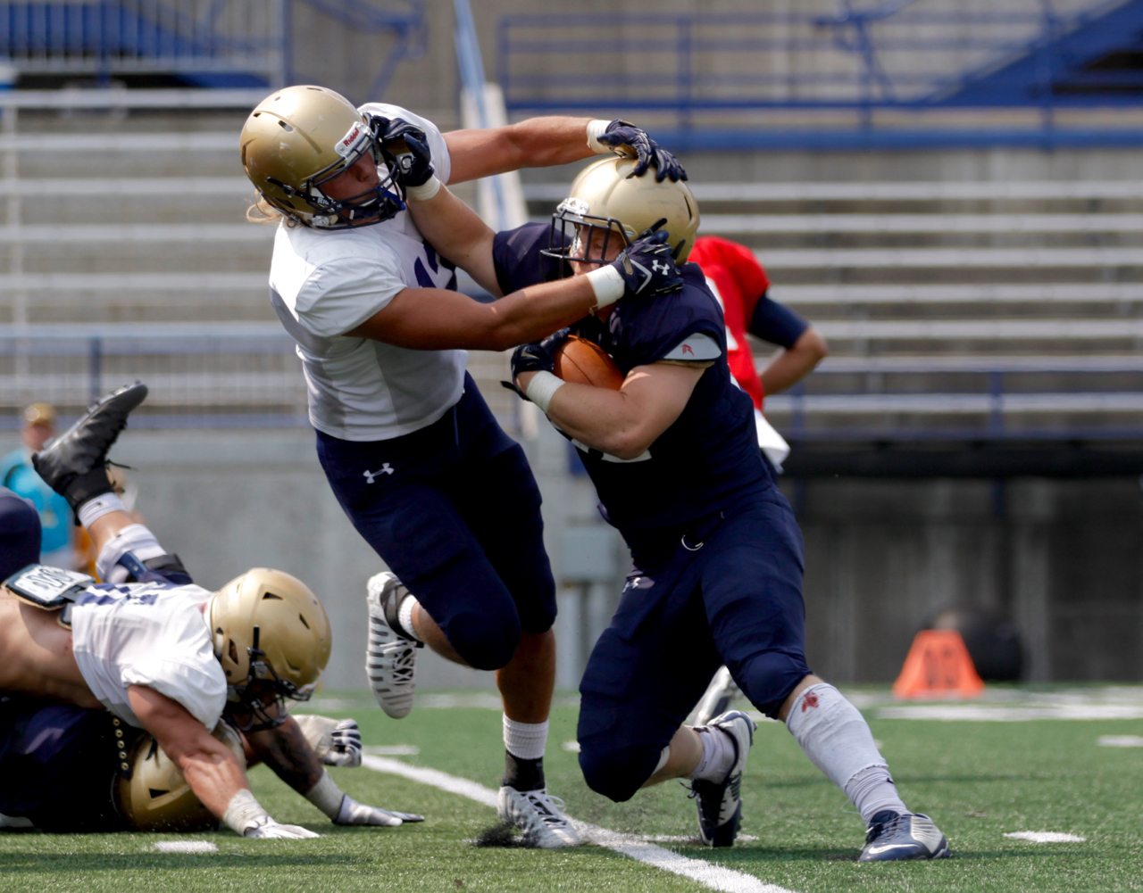 THE STANDARD BEARER – Fitzgerald sets tone throughout memorable career ...