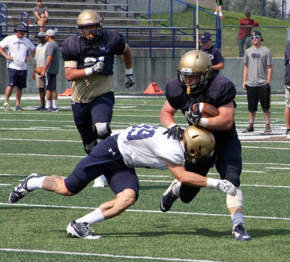 THE STANDARD BEARER – Fitzgerald sets tone throughout memorable career ...