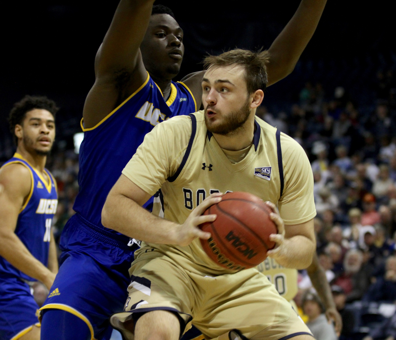 Bobcats relishing practice time during nine-day break – Skyline Sports