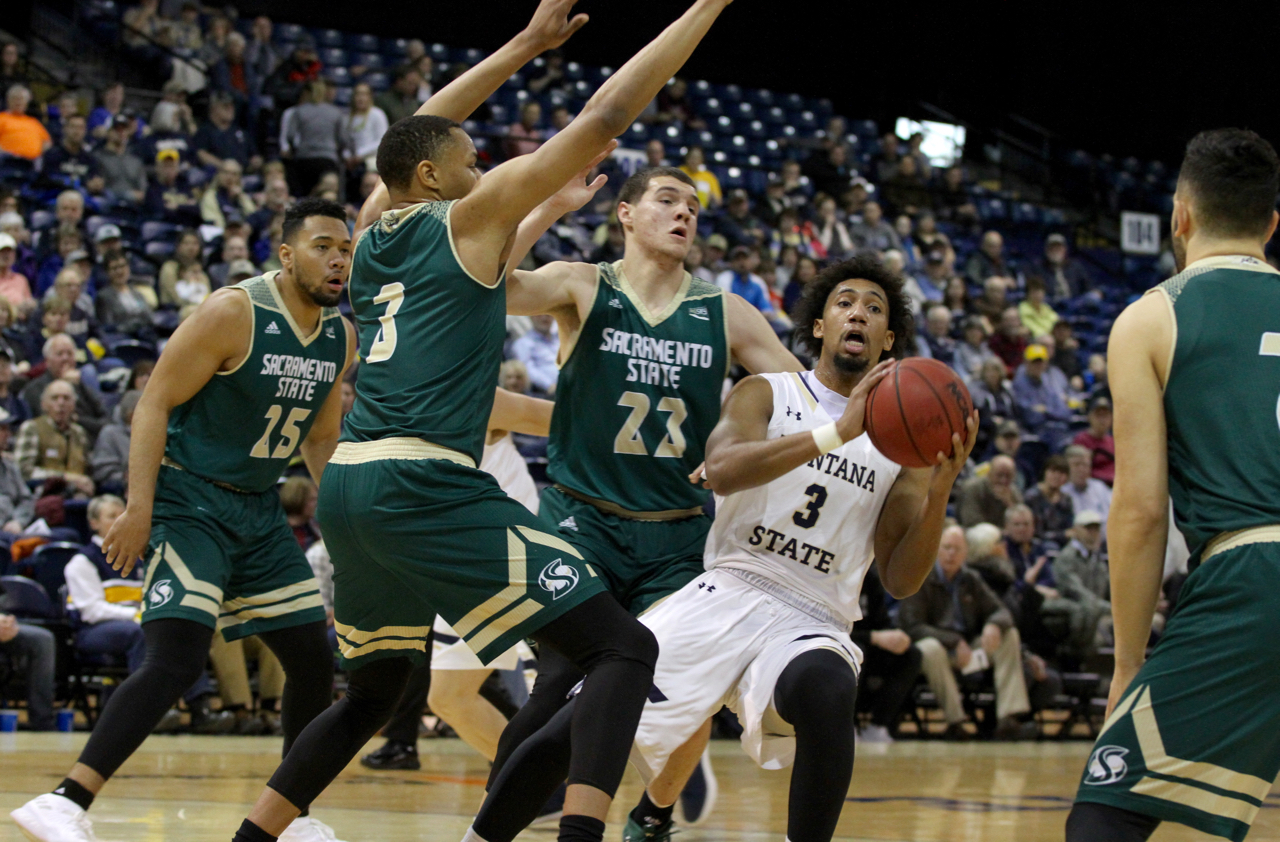 Ball movement sparks Bobcats past Sac State – Skyline Sports