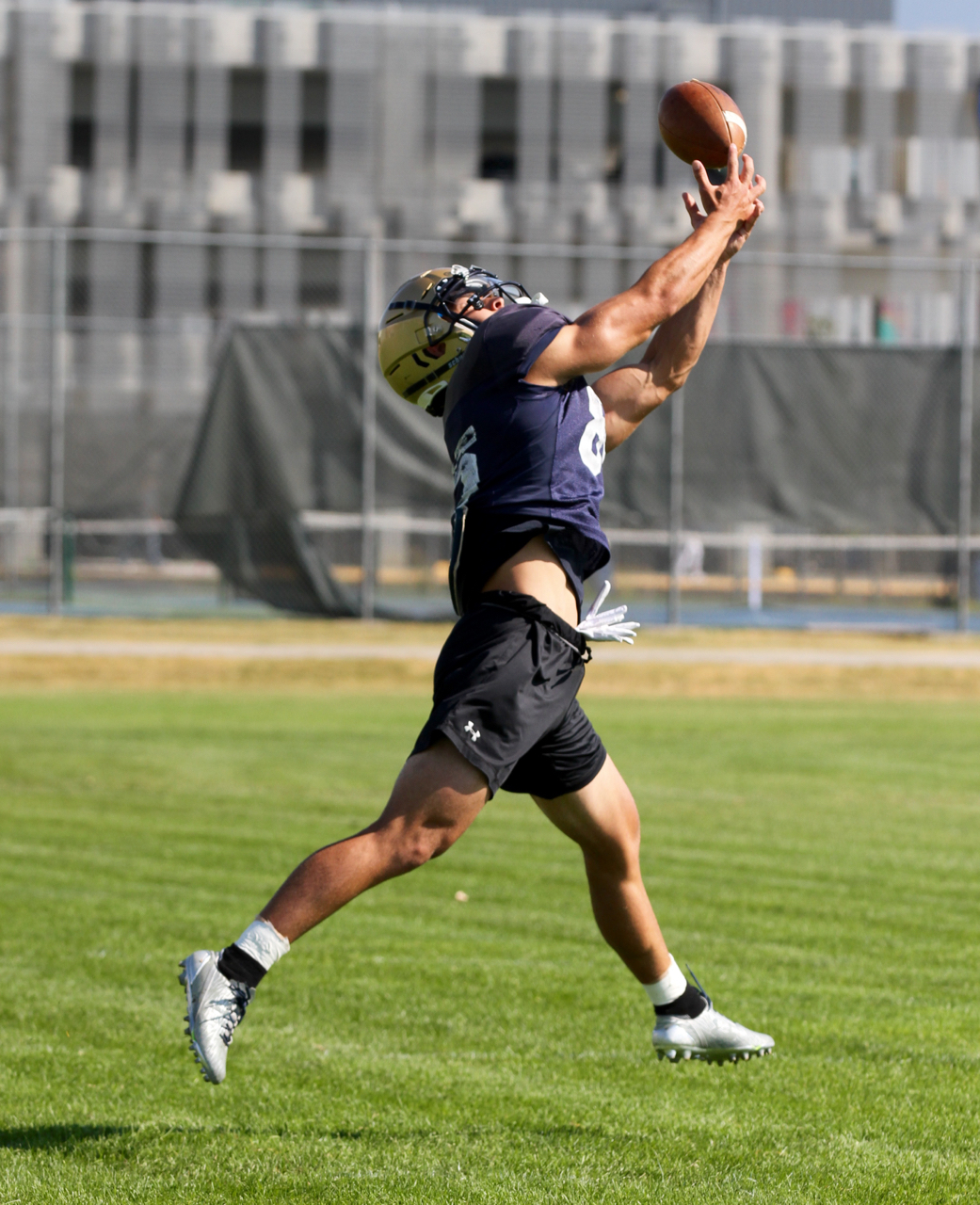 Wright, Neale, Kassis named Bobcat captains for 2018 – Skyline Sports