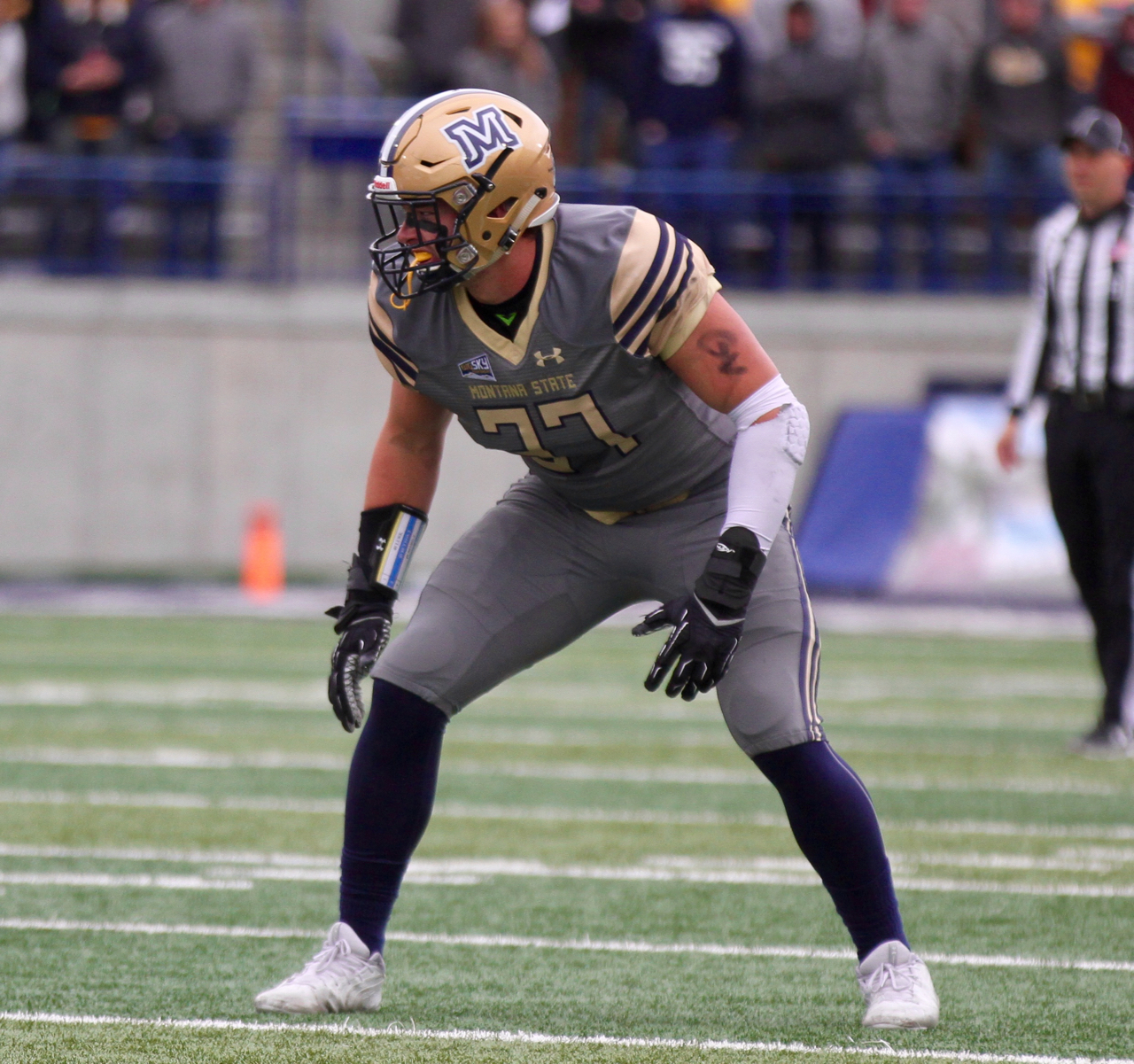 COMMENTARY: Evaluating the Bobcats, Grizzlies at season’s midpoint ...