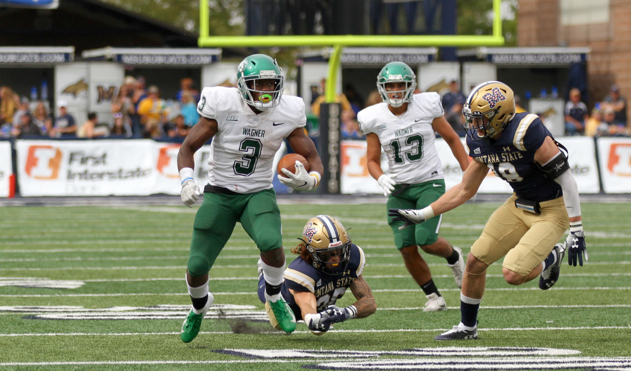 Rovig a revelation as Bobcats smoke Wagner, 47-24 – Skyline Sports