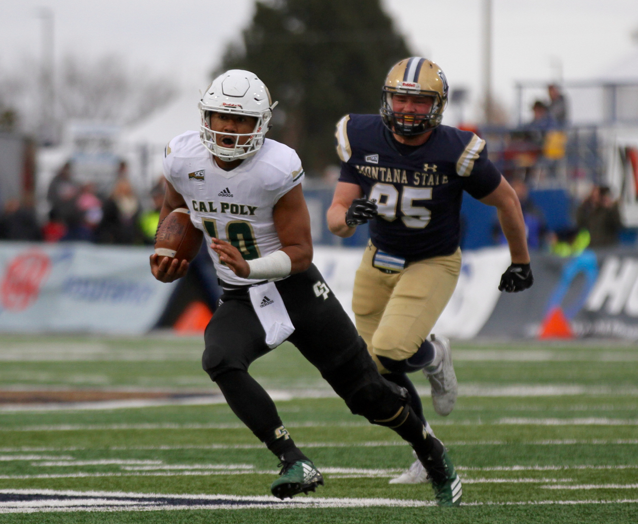 New faces hope to help Cal Poly reload – Skyline Sports
