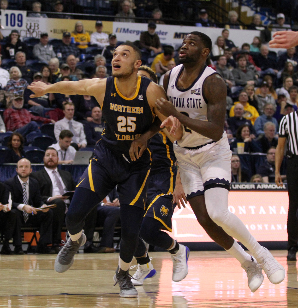 Hall falls just short of Big Sky scoring record, ‘Cats fall short ...