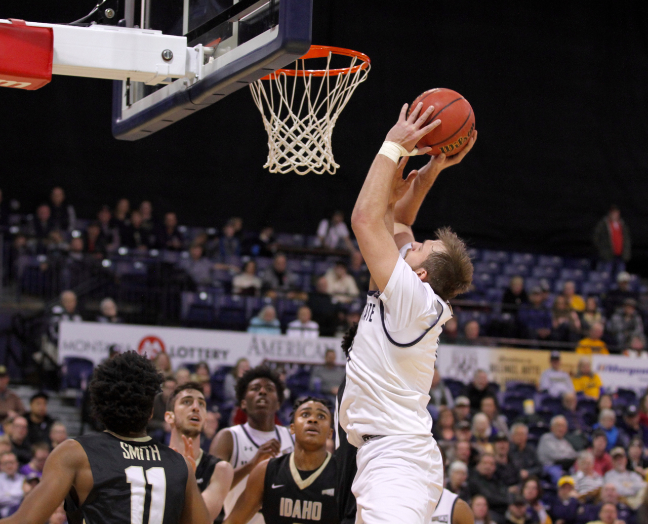 Balanced Bobcats earn emotional win over Idaho – Skyline Sports