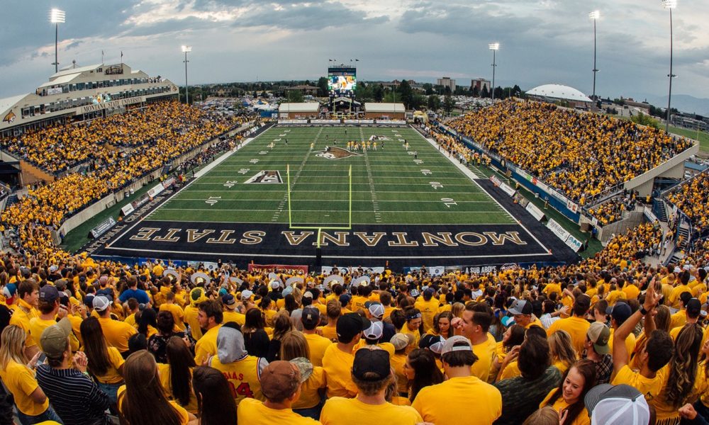 CONFIRMED: Vigen is new head football coach at Montana State – Skyline ...