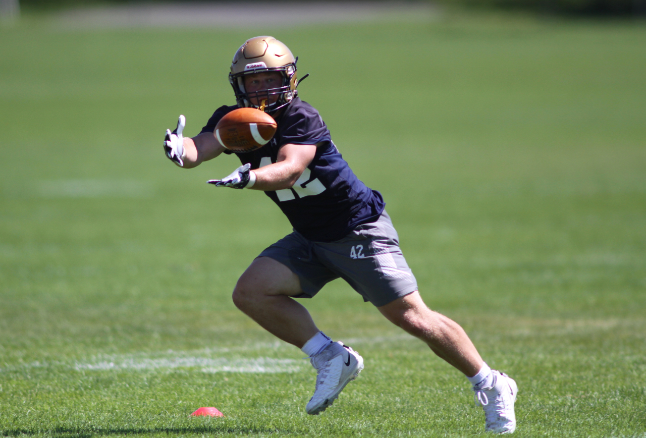 THE STANDARD BEARER – Fitzgerald sets tone throughout memorable career ...