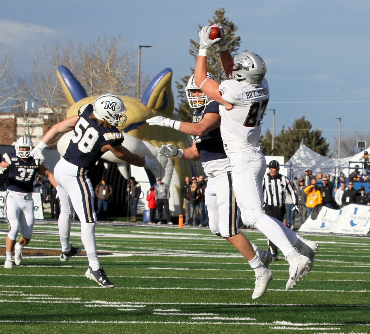 FOUR STRAIGHT: Montana State destroys Montana like never before ...