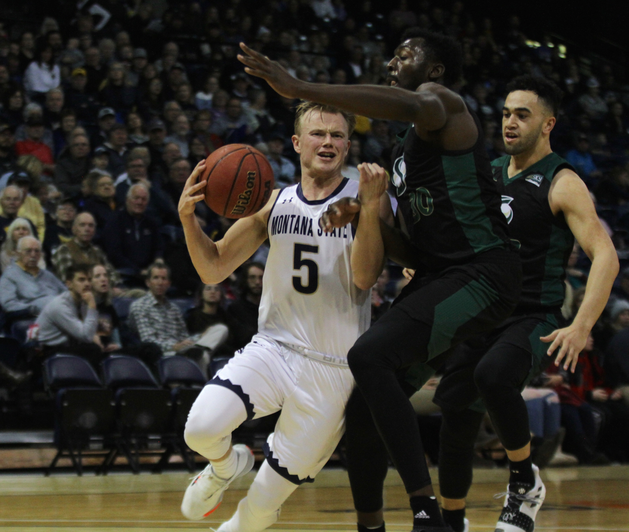 Bobcats lock down Sac State, win Sprinkle’s Big Sky debut – Skyline Sports