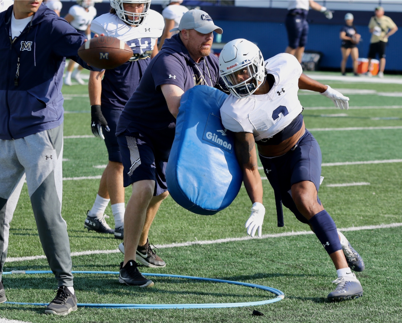 After flirting with Fighting Irish, Webb finds a home with the Bobcats ...