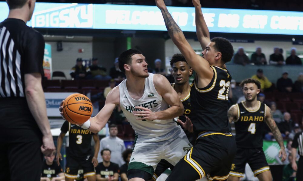 BIG SKY MEN’S TOURNAMENT DAY 1: Hornets, Vikings stay hot, move on ...