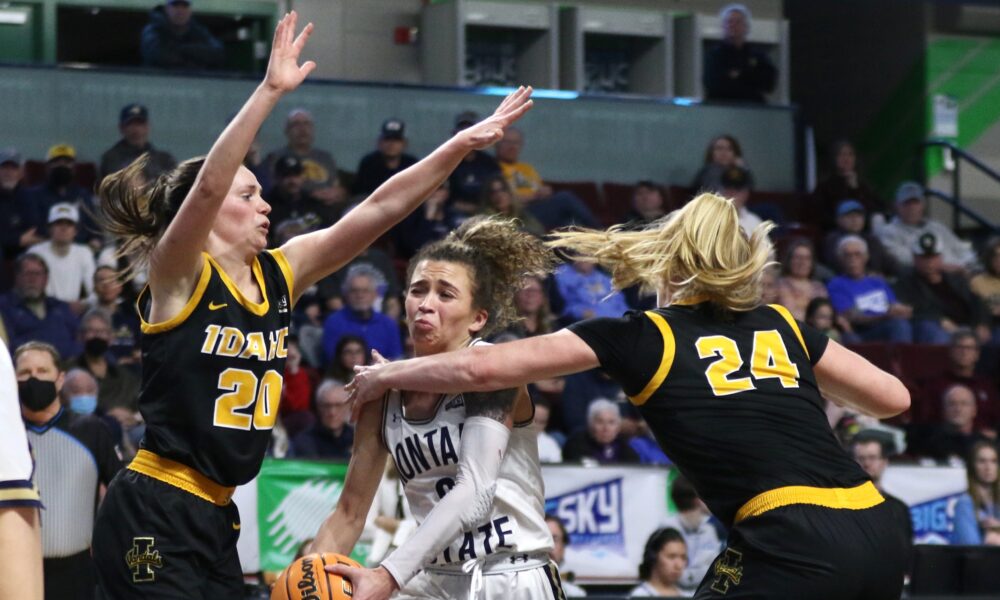 Bobcat senior PG White highlights Big Sky women’s hoops preseason squad ...