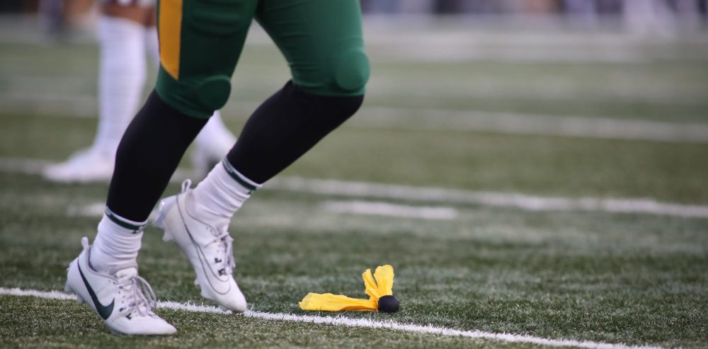 PHOTO GALLERY: Montana vs. North Dakota State FCS National Playoff ...