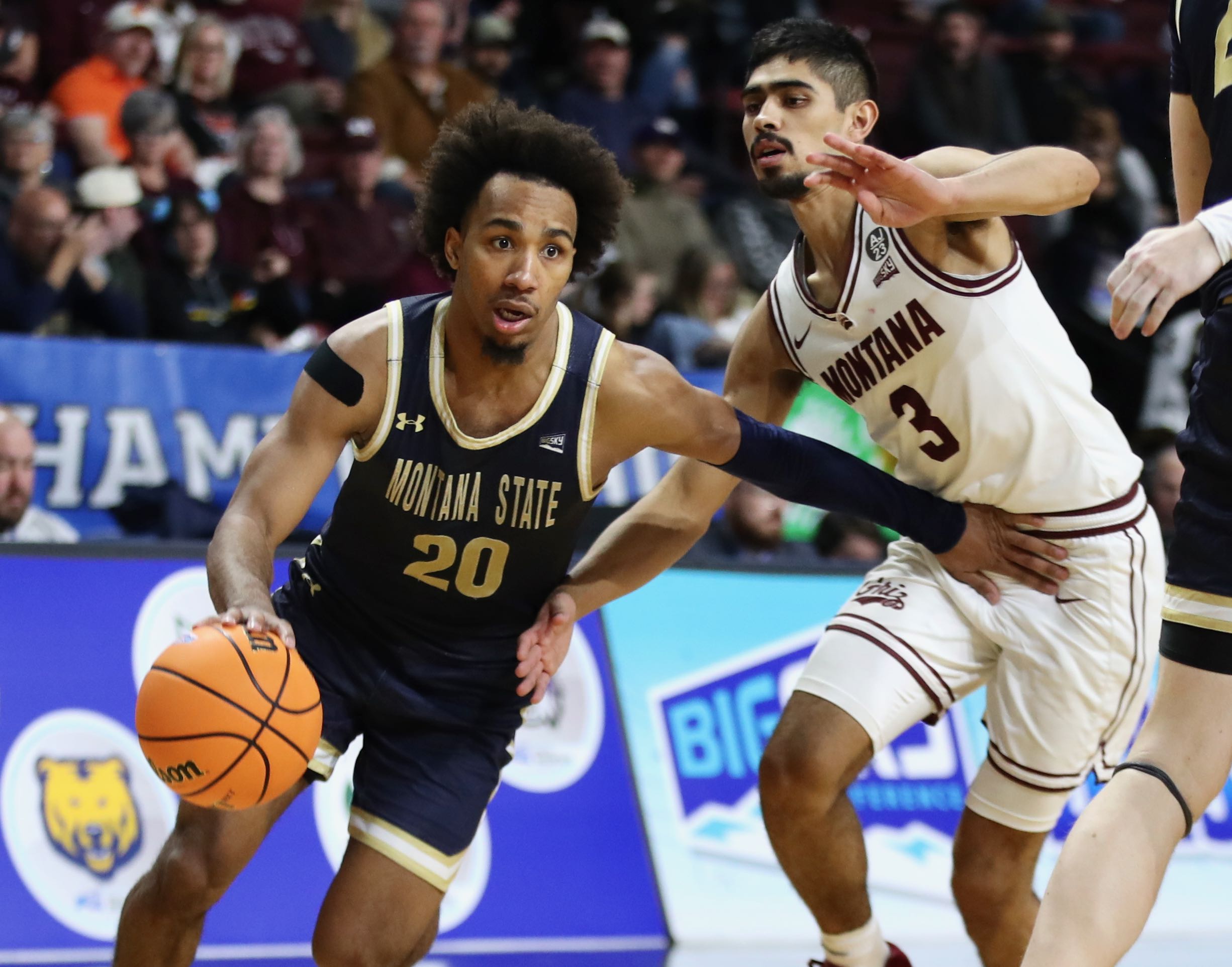 Montana State inks Logie to four-year contract extension – Skyline Sports
