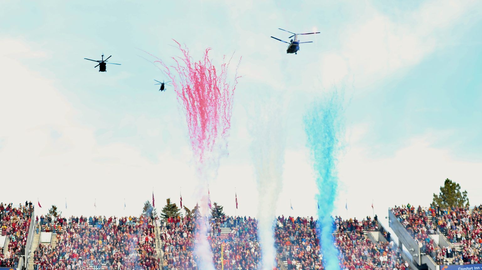 Brawl of the Wild in Photos – Cat Griz – Skyline Sports