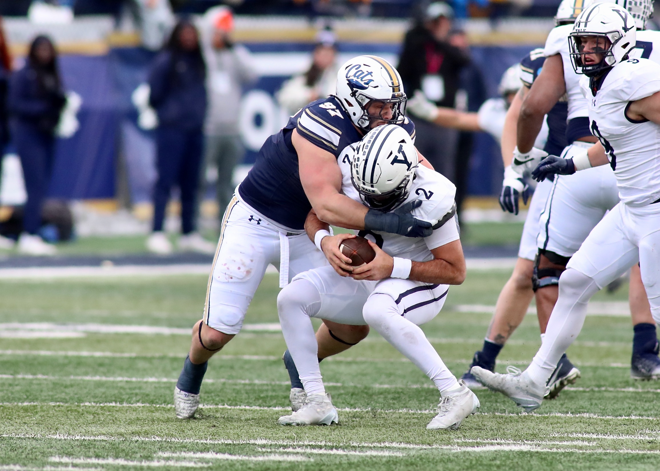 Bobcats outlast Yale in FCS Playoffs second-round slugfest in Bozeman ...