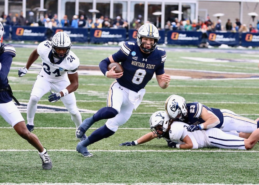 Bobcats outlast Yale in FCS Playoffs second-round slugfest in Bozeman ...