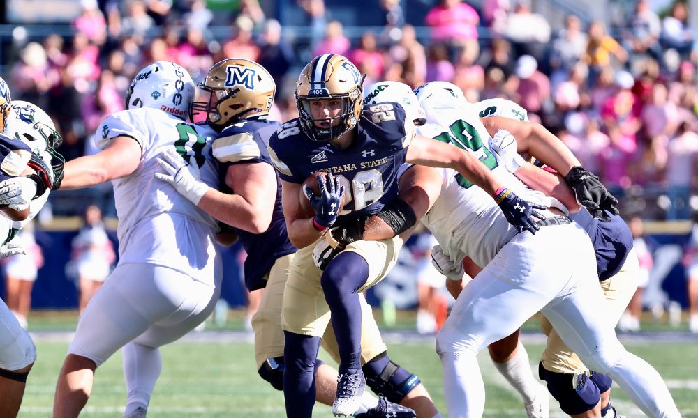 Coon, Wilson pace new-look MSU offense at Sonny Holland spring game ...